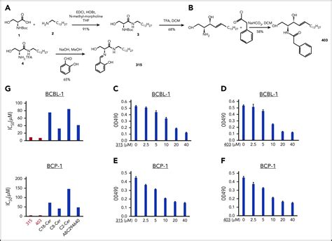 Developing New Ceramide Analogs And Identifying Novel Sphingolipid
