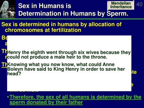 Ppt Outline Powerpoint Presentation Free Download Id6569606