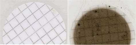 Field Patch Test Kit LogicOil