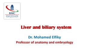 Anatomy Of Liver And Biliary System PDF
