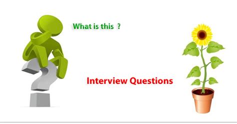 Selenium Webdriver With Java SQL Interview Questions For Testers