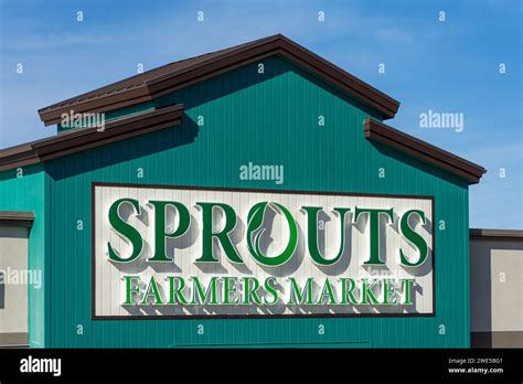 Sprouts Logo 2024