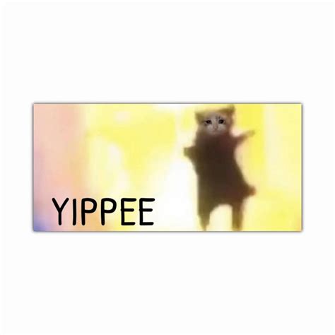 Cat Yippie Meme Bumper Sticker Etsy
