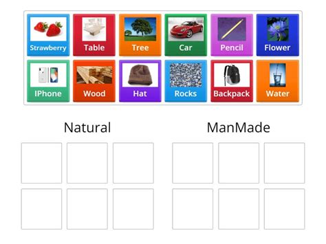 Natural Vs. Manmade - Group sort