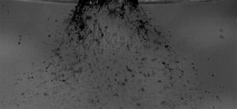 Innovation Lab Roboflow Universe