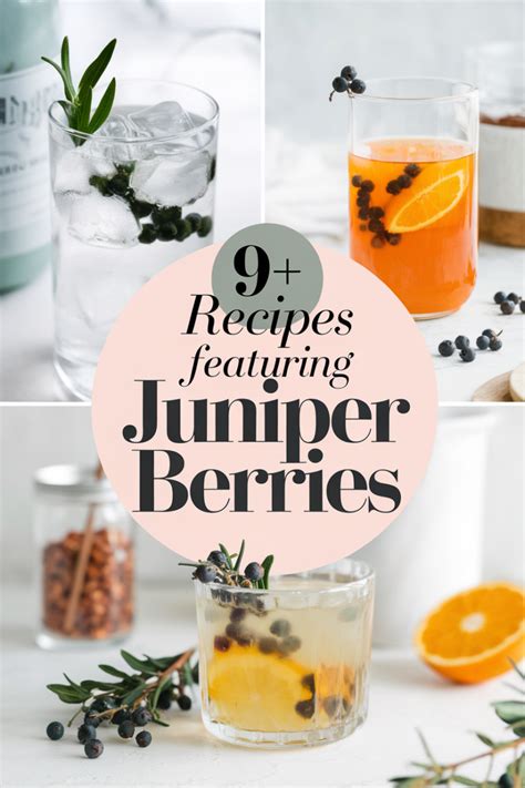 9 Simple Juniper Berries Recipes For Your Cooking Game Today Food