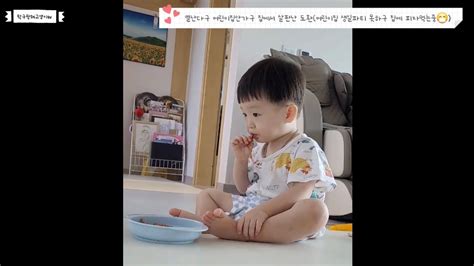 육아vlog 열나서 가정보육 집에서 살판난 도환 어린이집 생일파티 못하구 집에서 피자먹기 피자알볼로 치즈피자