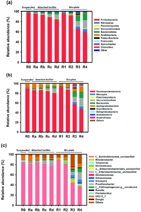 Microbial Communities Of The Different Compartments Of Ibpr A Plot At Download Scientific