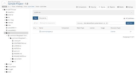 Detecting Embedded Licenses