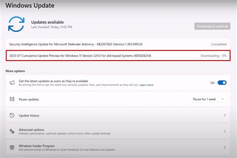 Fix Windows 11 Kb5028254 Preview Update Not Installing