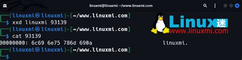 有趣的宝藏!6 个你独特而惊人的 Linux 实用工具 良许linux教程网 有趣的宝藏!6 个你独特而惊人的 Linux 实用工具 良许linux教程网