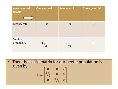 Importance Of Leslie Matrix And Age Distribution Towards Population Projection Ppt