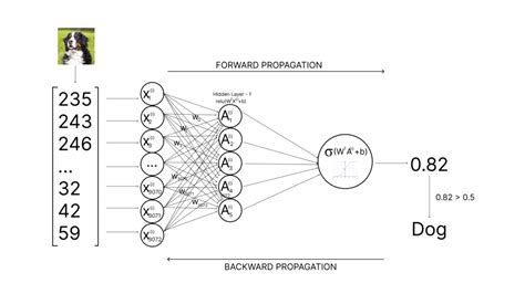 Building Neural Network From Scratch In Python By Akil Ahmed Itnext