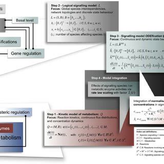 Schematic Representation Of The Integration Concept Physiological Download Scientific Diagram