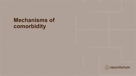 Epilepsy Comorbidities Neurotorium