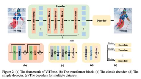 Usyd Community Vitpose Plus Base Hugging Face