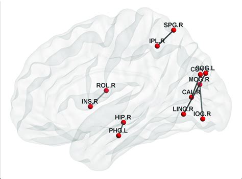The Discriminative Subgraphs Of Emci Rol R R Rolandic Operculum Download Scientific
