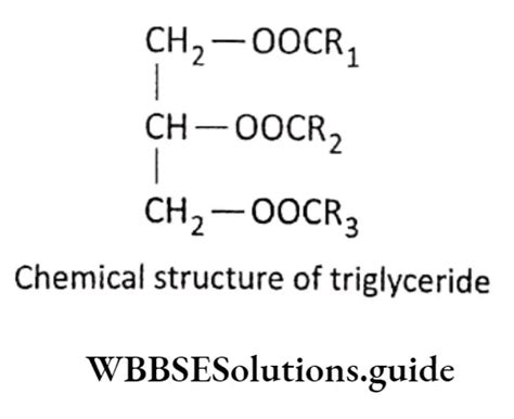 Lipids Definition Structure Classification Types Wbbse Solutions