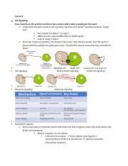 Lesson Study Guide AC Docx Lesson Cell Signaling Focus Heavily On The Activity And The In