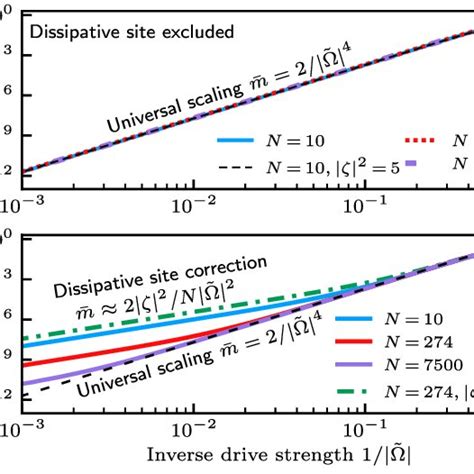 Universal Scaling Of Steady State Z Magnetization Hole Density The Z