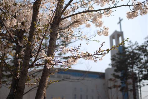 좋은감리교회 친구 목사가 만들어 준 한몸 십자가 고맙고 감사하고 행복합니다 새 예배당 꿈터 교회학교 예배실에 걸어 놓으려 합니다 친구가 십자가의 의미를