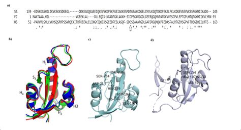 A Multiple Sequence Alignment Of Parvulin Domain Sequences Of S Aureus