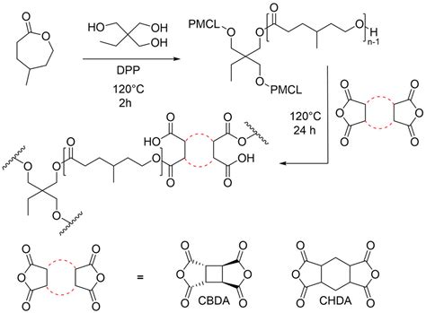 Dynamic Aliphatic Polyester Elastomers Crosslinked With Aliphatic Dianhydrides Acs Polymers Au