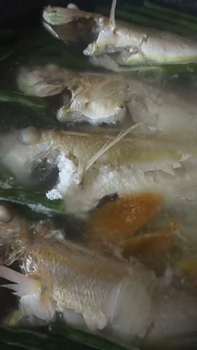 Simpleng ulam pero sobrang sarap #ulamoftheday #cooking - YouTube