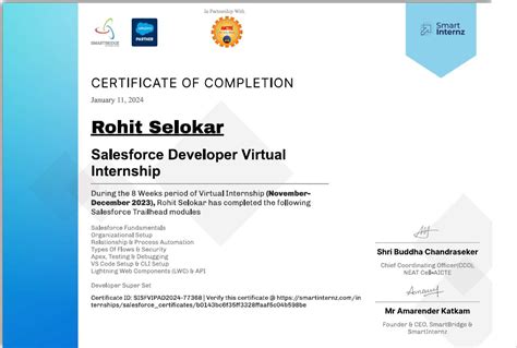 Rohit Selokar On Linkedin Smartinternz Smartbridge Salesforce