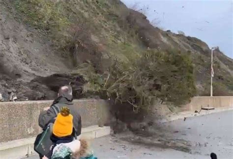 video shows tree falling down cliff during landslide at sunny sands
