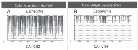 Codon Adaptation Index Cai Values Of Ipab C Cpe A A Cai Of 062