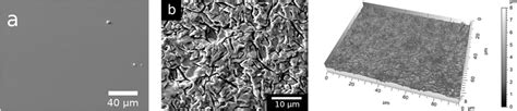 Scanning Electron Micrographs From Smooth A And Rough B Surfaces