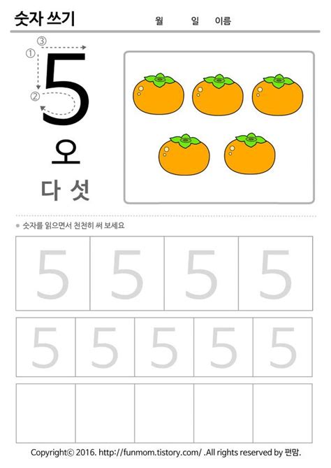 숫자5 숫자 색칠공부 놀이 수학 수학 학습지 출력
