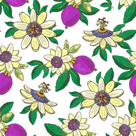 Passionflower Abstract Stock Illustrations 2158 Passionflower