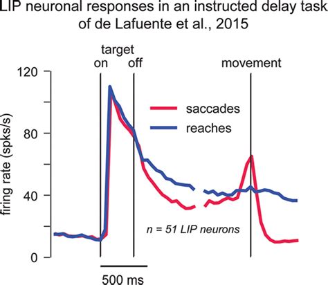 Cognitive And Action Based Aspects Of Developing Decisions In Parietal