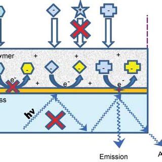 Schematic Representation Of A Three Component Sensor And Its Operation Download Scientific