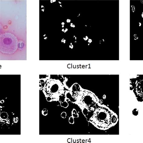 Segmented Image Using Modified Moving K Means Download Scientific Diagram