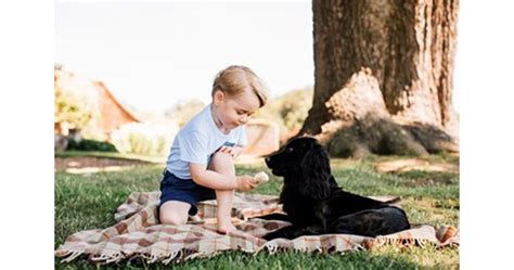 Защо принц Джордж винаги носи къси панталонки снимки