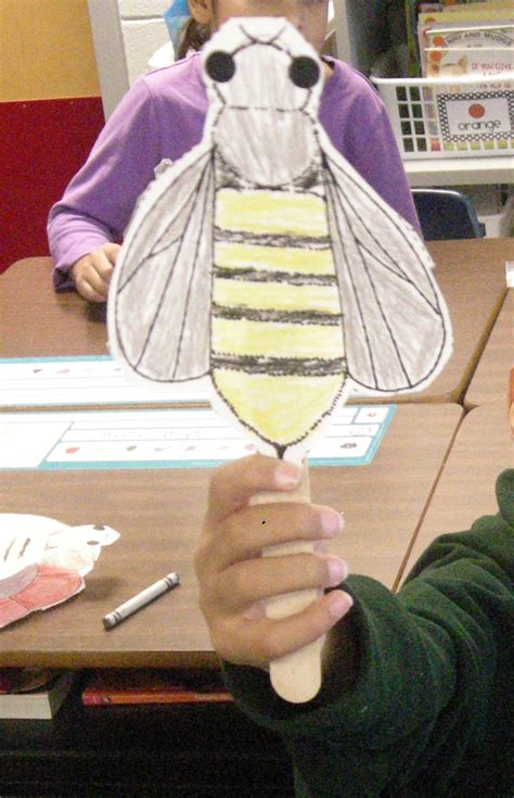Bee Pollination Activity The Life Of Bee