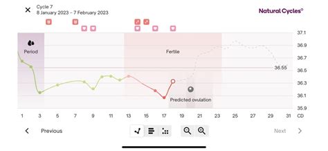 Bbt Charting For First Time Mumsnet