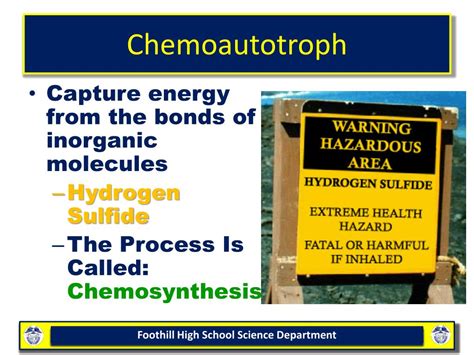 Ppt Chapter 3 The Biosphere Powerpoint Presentation Free Download Id 217196