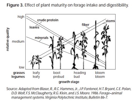 Quarrels About Quality 14 Sources Of Variation In Forage And Hay Testing