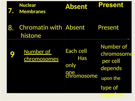 Sturcture Of Prokaryotic And Eukaryotic Cells Cell Division Mitosis