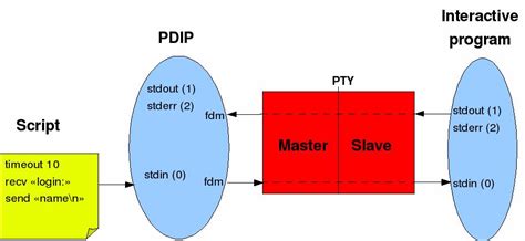 Linux Pseudo Terminal 基础一 数字验证和软件工程 Segmentfault 思否