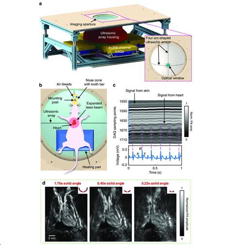 3d Pact Synchronized With Ecg For Cardiac Imaging A Representative Download Scientific Diagram