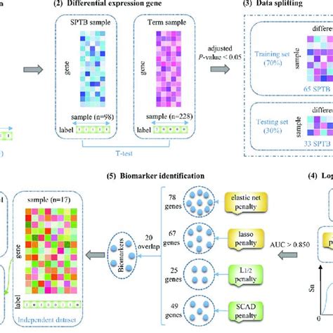 pdf biomarker discovery for predicting spontaneous preterm birth from