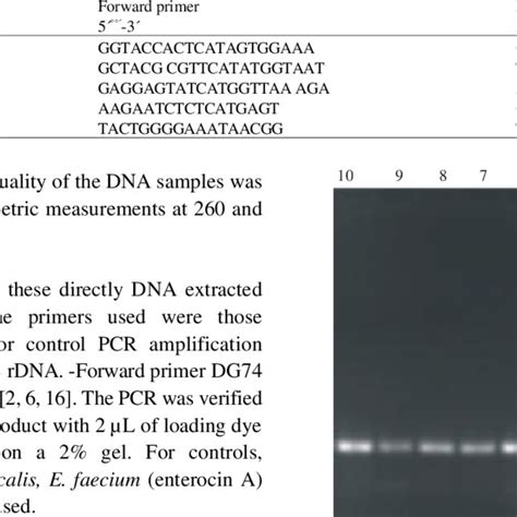 Specific Primers For The Pcr Detection Of Bacteriocin Structural Genes Download Table
