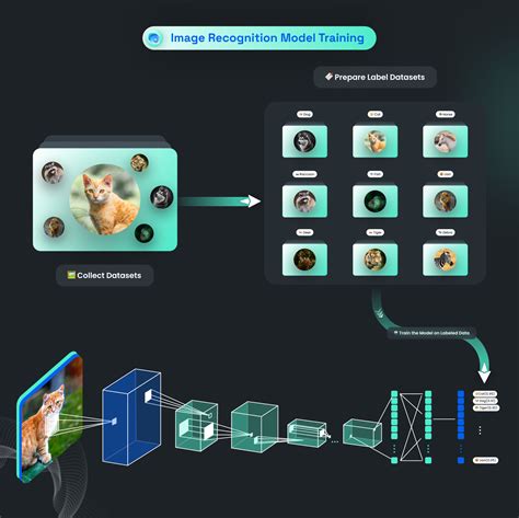 Image Recognition Demystified Algorithms And Applications