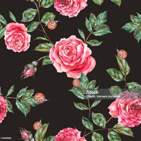 빨간 장미의 빈티지 수채화 원활한 패턴 꽃 잎 싹과 달팽이와 자연 질감 0명에 대한 스톡 벡터 아트 및 기타 이미지 0명 구도 기념일 Istock