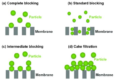 Schematic View Of Pore Blocking During Membrane Filtration Download Scientific Diagram